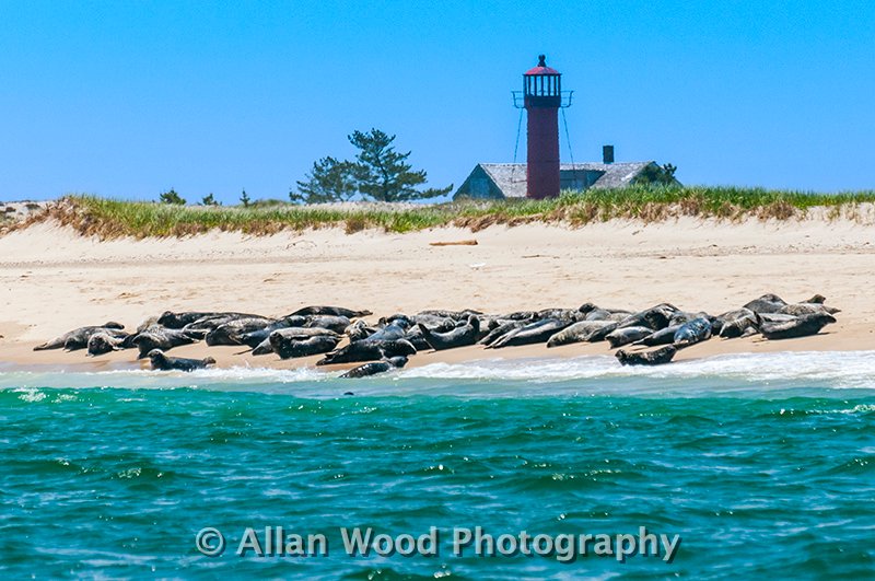 Monomoy Island Light